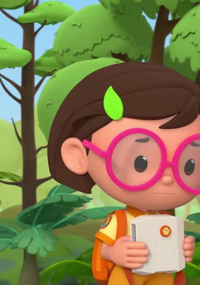 Watch Leo the Wildlife Ranger S02:E01 - Kakapo Parrot/Wombat - Free TV ...