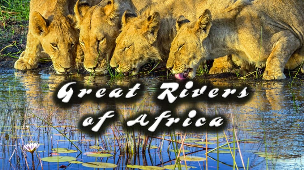 Watch Great Rivers of Africa Streaming Online | Tubi Free TV
