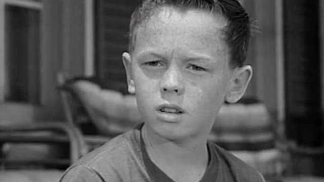 Watch Dennis the Menace Season 4 - Free TV Shows | Tubi