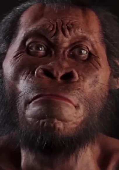 Watch Early Humans S02:E05 - Homo Naledi: The Star Man - Free TV Shows ...