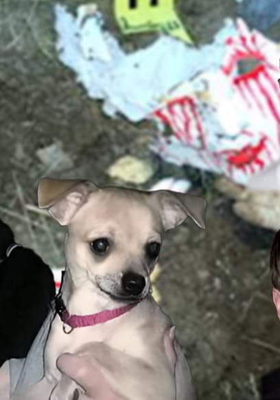 Watch Prime Crime S04:E12 - Real-Life Horror Movie - Free TV Shows | Tubi