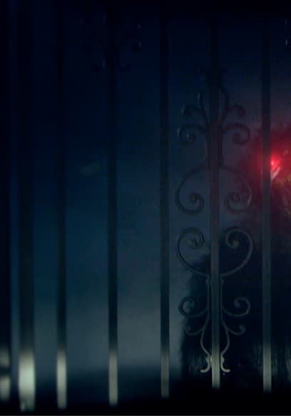 Watch Monsters and Mysteries S03:E25 - Carolina Reptile Man, Succubus ...