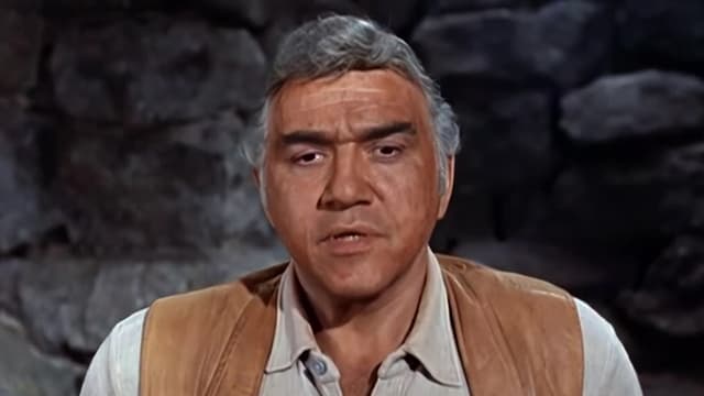 Watch Bonanza S01:E24 - The Stranger - Free TV Shows | Tubi