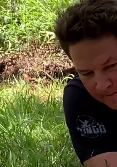 Watch Dingo Untamed S01:E14 - Snake That Killed Cleopatra - Free TV ...