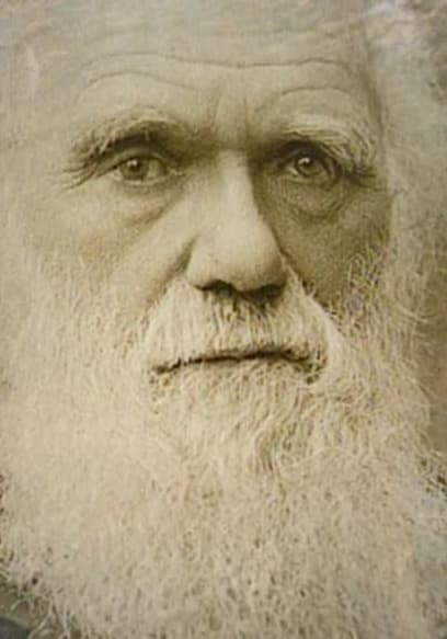 Watch Lost Animals of the 20th Century S01:E16 - Episode 16 - Free TV ...