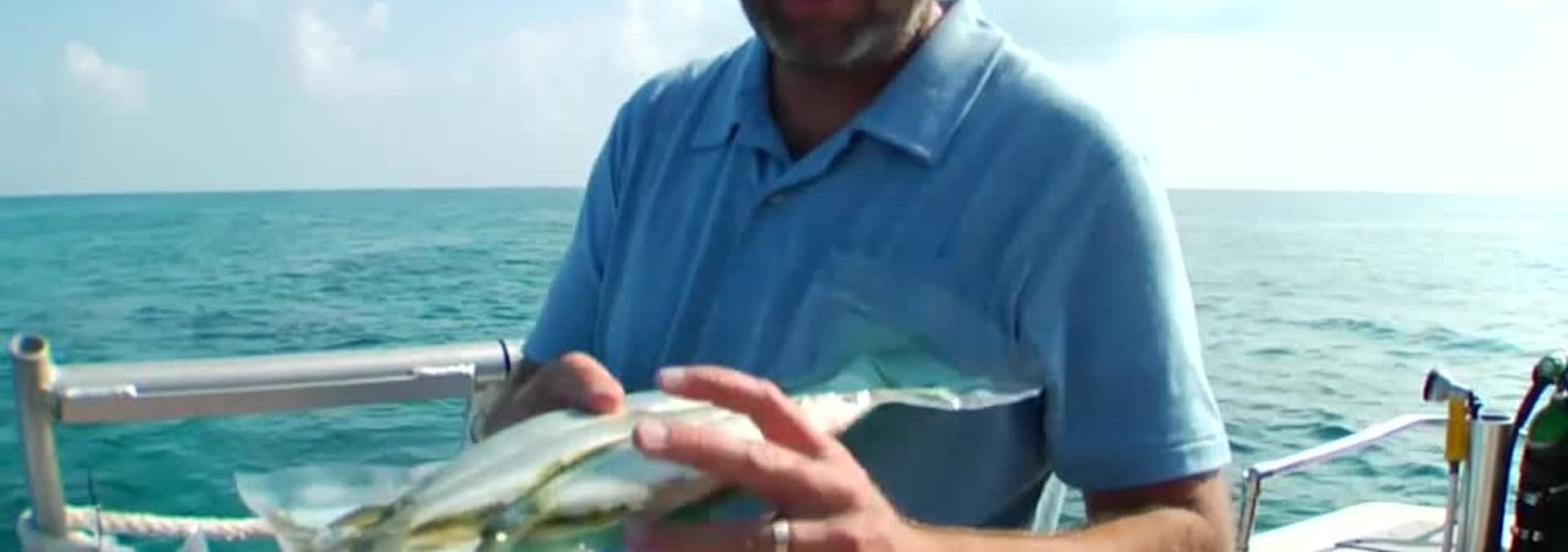 Watch How to Do Florida S02:E05 - How to Do Alligator Encounter and ...