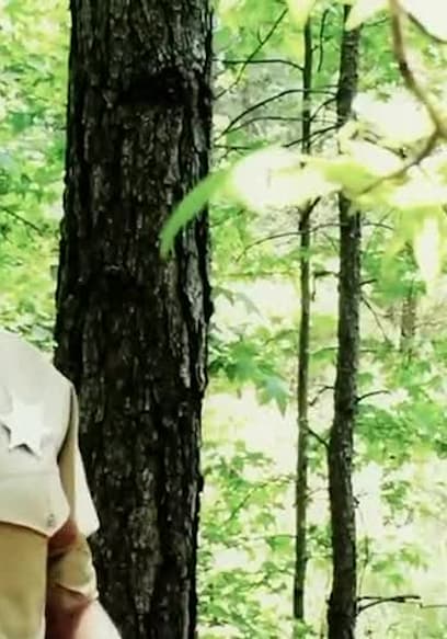 Watch Creatures from the B Movie Swamp S01:E03 - Swamp Creature From ...