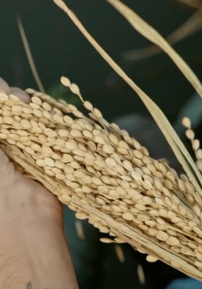 Watch Las rutas D'Ambrosio S03:E06 - Marina Alta - Free TV Shows | Tubi