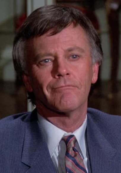 Watch Fantasy Island S05:E18 - The Challenge / A Genie Named Joe - Free ...