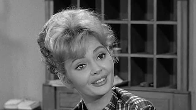 Watch Petticoat Junction S01:E20 - Last Chance Farm - Free TV Shows | Tubi