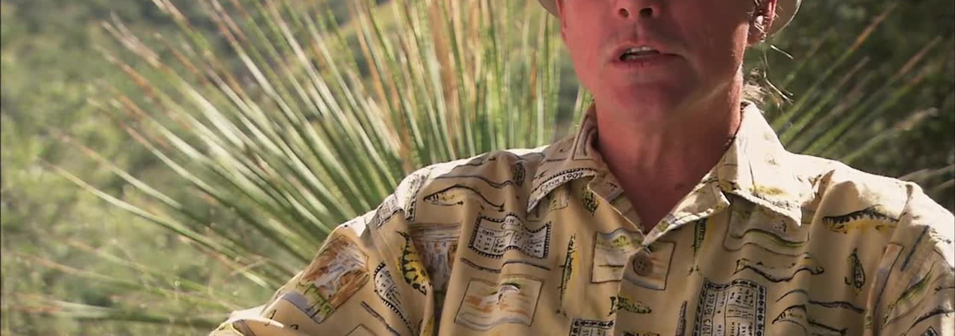 Watch Risk Takers S02:E04 - Killer Bee Removal Expert - Free TV Shows ...