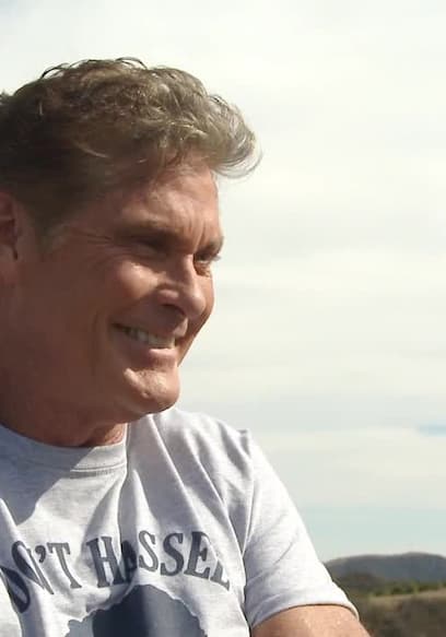 Watch Celebrity Home Raiders S01:E03 - David Hasselhoff - Free TV Shows ...