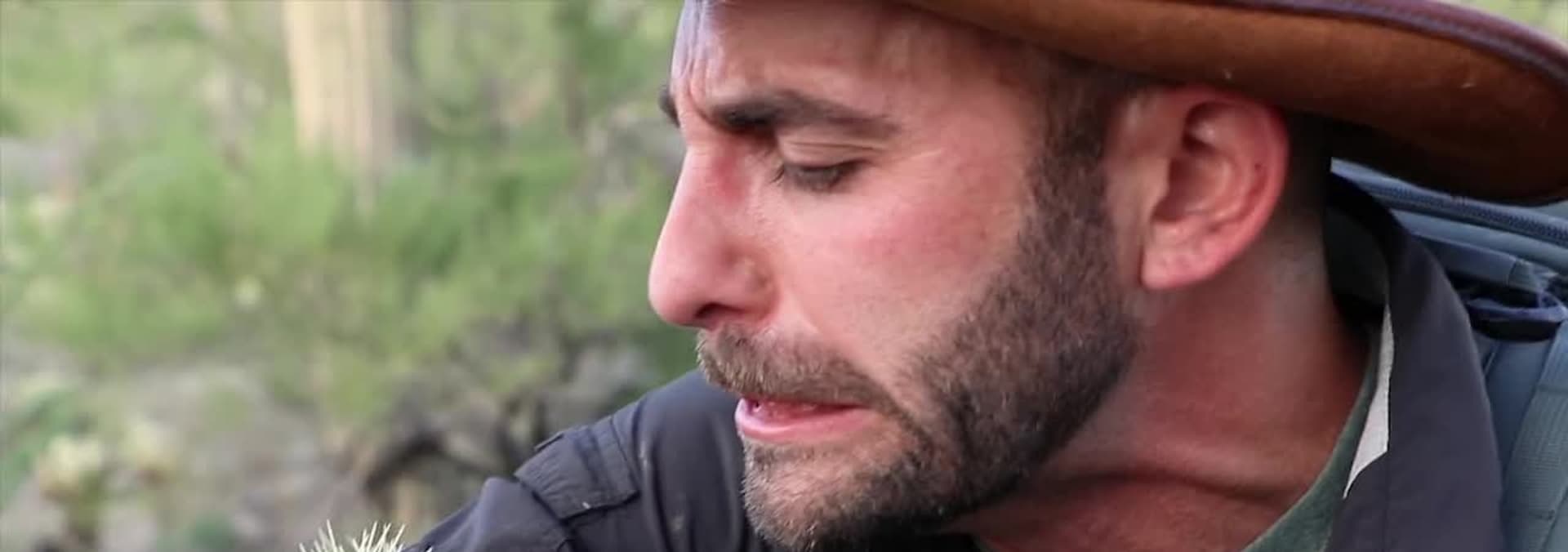 Watch Brave Wilderness S02:E06 - Extreme Nature - Free TV Shows | Tubi