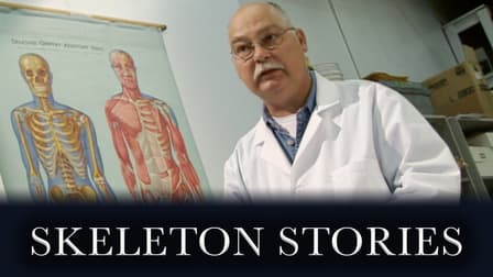 Watch Skeleton Stories - Free TV Shows | Tubi