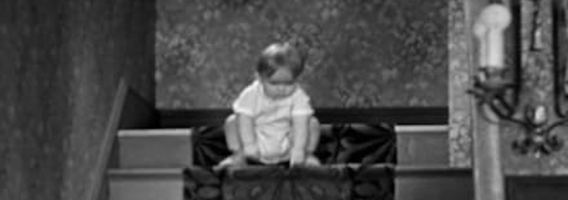 Watch The Little Rascals S01:E33 - Forgotten Babies - Free TV Shows | Tubi