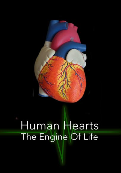 Watch Human Hearts: The Engine of Life (2020) - Free Movies | Tubi