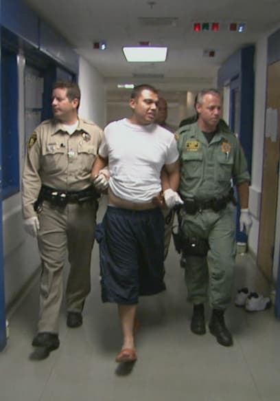 Watch Jail S06:E10 - Sweet as Pie - Free TV Shows | Tubi