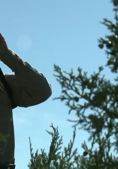 Watch Wardens S01:E13 - Warden - Free TV Shows | Tubi