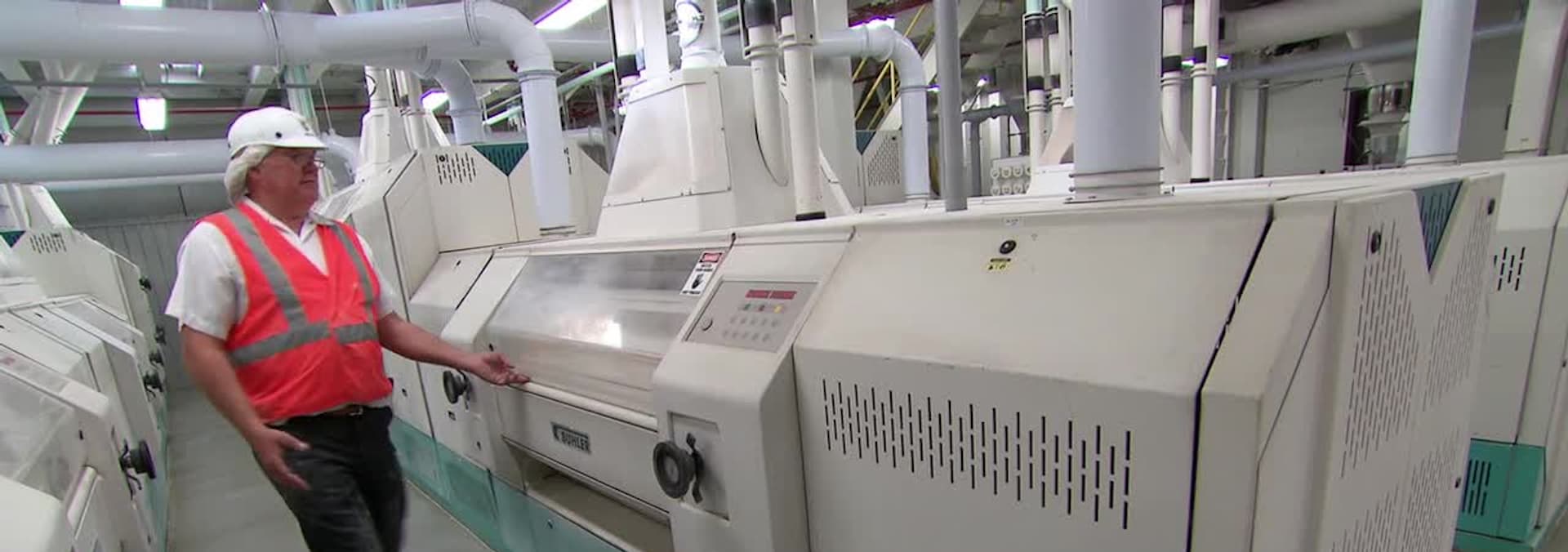 Watch Making Stuff S02:E252 - Flour - Free TV Shows | Tubi