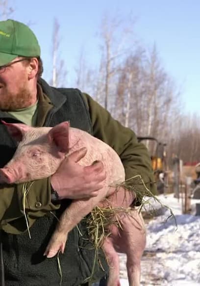 Watch Dr. Dee: Alaska Vet S01:E05 - Springing Into Action - Free TV ...