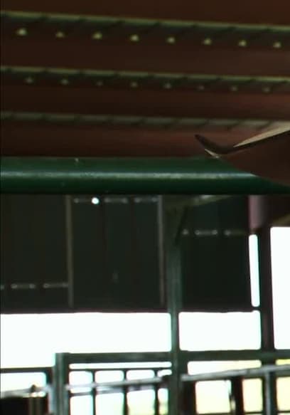 Watch Storage Wars: Texas S04:E28 - Moe's Def - Free TV Shows | Tubi