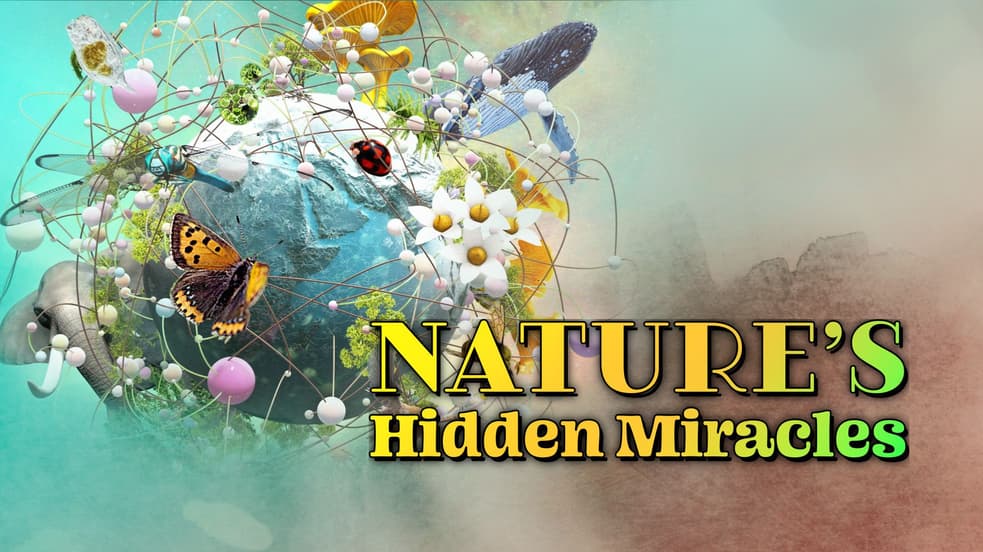 Watch Nature's Hidden Miracles Streaming Online | Tubi Free TV