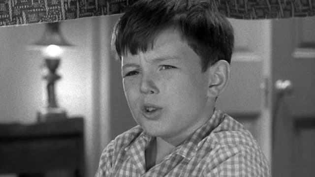 Watch Leave It to Beaver S01:E16 - Lumpy Rutherford - Free TV Shows | Tubi