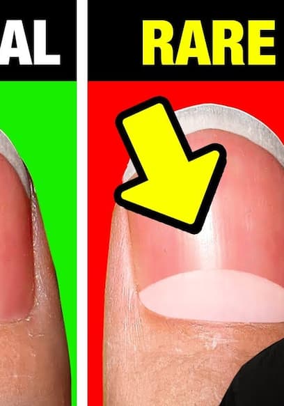 Watch SSundee Reacts S03:E10 - Unique Bodies & How Things Are Made ...