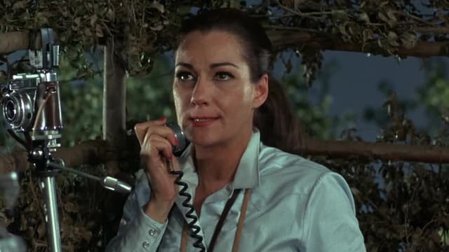 Watch Daktari - Free TV Shows | Tubi