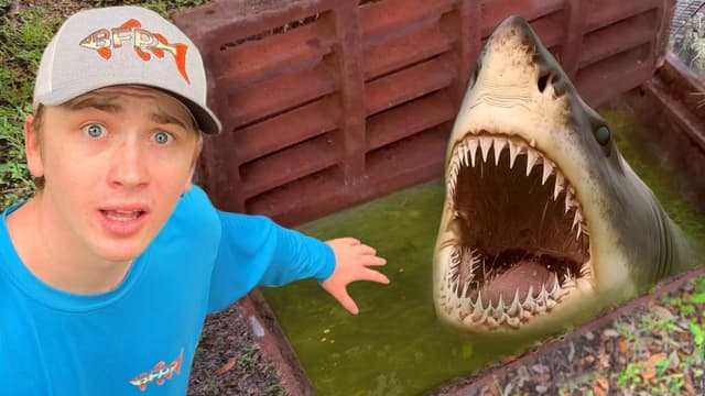 Watch Bass Fishing Productions S04:E13 - I Found Sharks in a Sewer ...