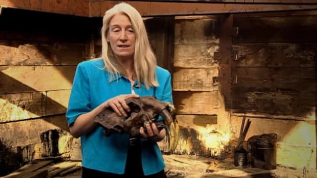 Watch Extinct S01:E02 - Sabretoothed Cat - Free TV Shows | Tubi