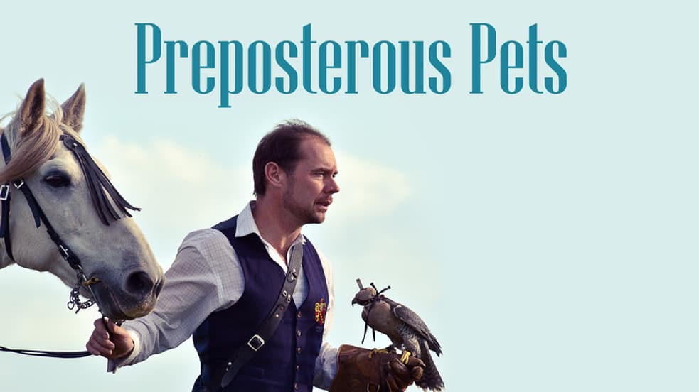 Watch Preposterous Pets - Free TV Shows | Tubi