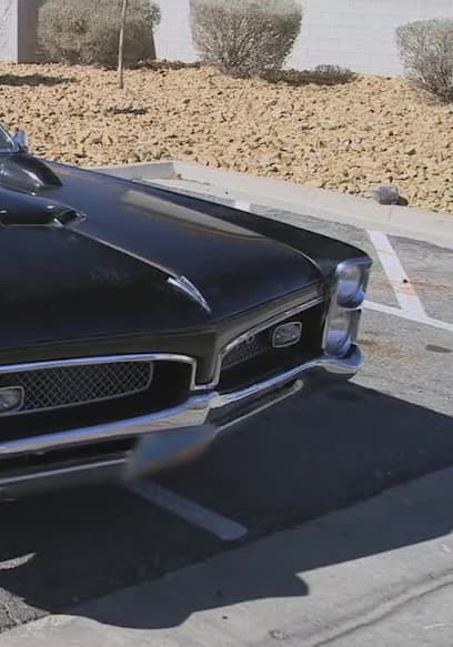 Watch Counting Cars S09:E09 - GTO Dreams - Free TV Shows | Tubi