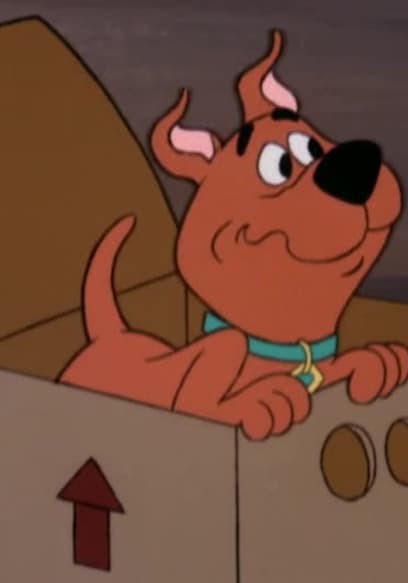 Watch Scooby-Doo and Scrappy-Doo S03:E06 - Hothouse Scooby/Scooby-Doo ...