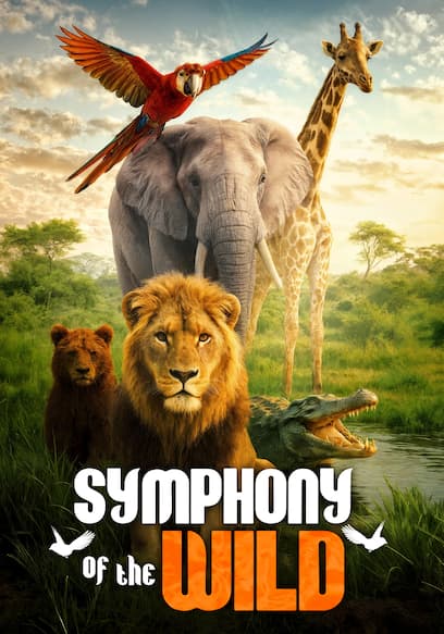 Watch Symphony of the Wild (2016) - Free Movies | Tubi