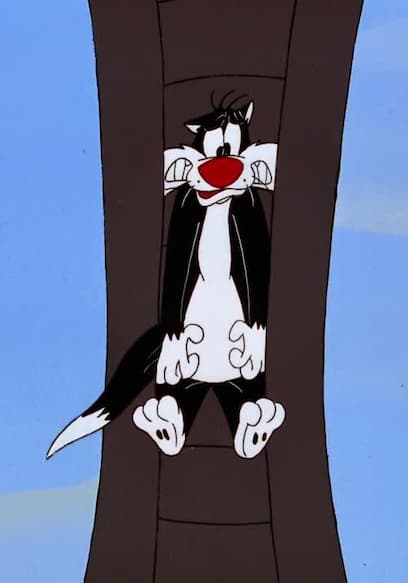 Watch The Sylvester & Tweety Mysteries S02:E08 - One Froggy Throat/Mush ...