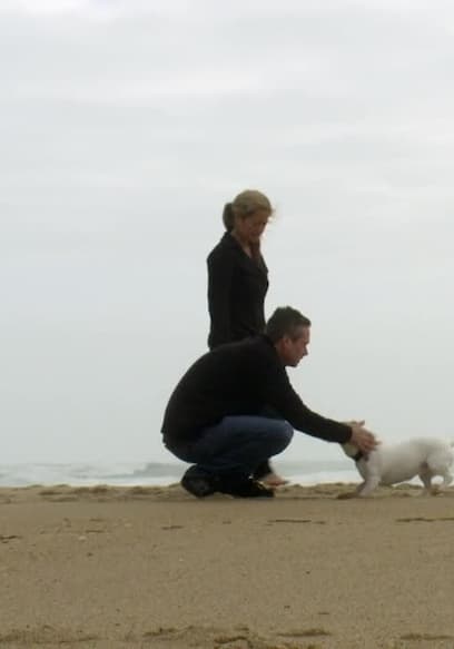 Watch Buying the Beach S01:E05 - Sound vs Ocean - Free TV Shows | Tubi