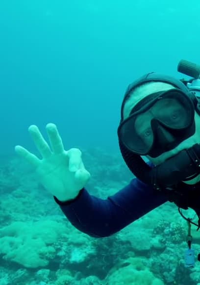 Watch Blue World S07:E08 - Sharks at Palau’s Blue Corner + Ocean Cave ...