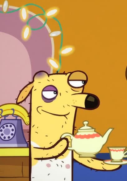 Watch Almost Naked Animals S02:E08 - Octo vs. Batty - Free TV Shows | Tubi