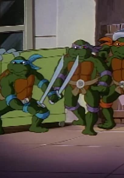 Watch Teenage Mutant Ninja Turtles S09:E01 - The Unknown Ninja - Free ...