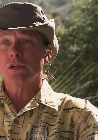 Watch Risk Takers S02:E04 - Killer Bee Removal Expert - Free TV Shows ...