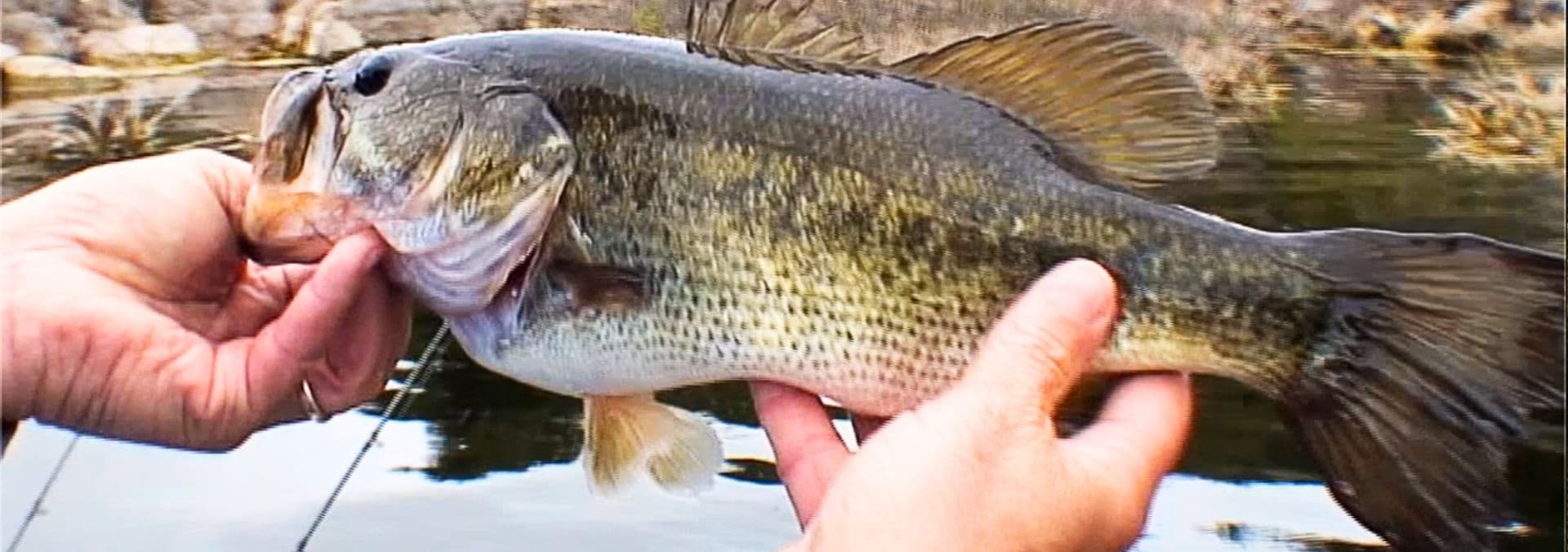 Watch Inside Sportfishing S01:E21 - Bassport to Lake Barrett: Top Bass ...