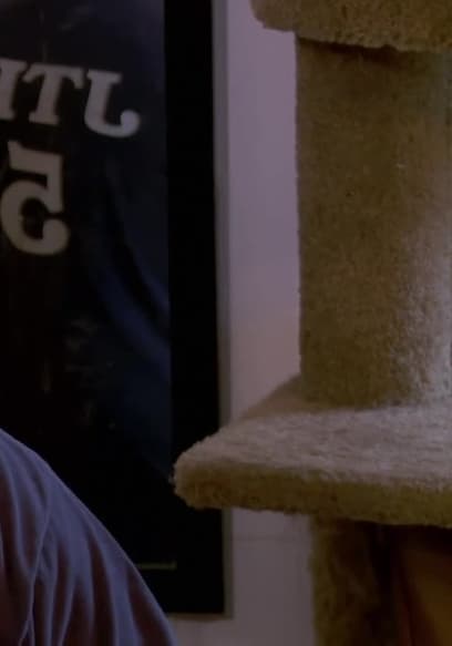 Watch My Cat from Hell S08:E08 - Twinkle, Twinkle, Little Scar - Free ...