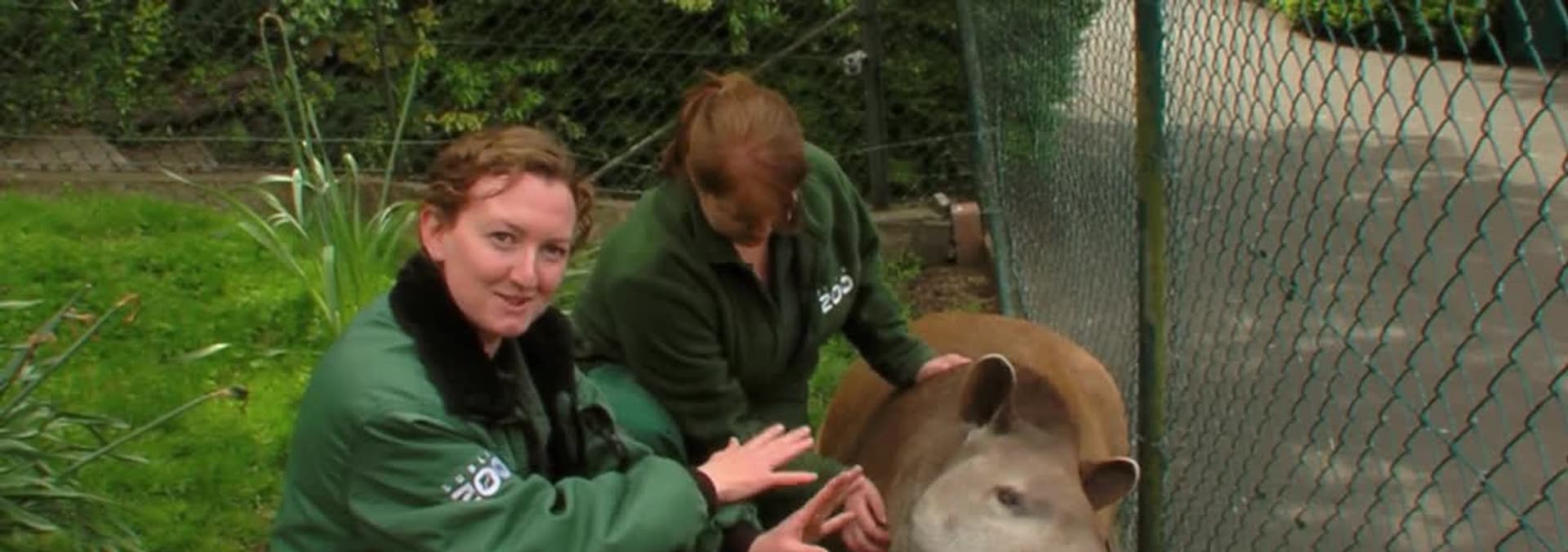 Watch The Zoo S02:E03 - Episode 3 - Free TV Shows | Tubi