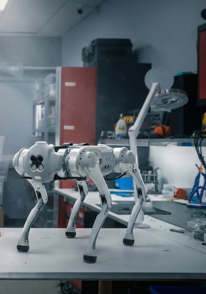 Watch Hacksmith Industries S01:E09 - $1 Robot vs $200,000 Robot - Free ...