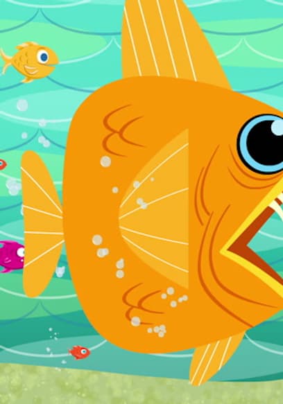 Watch Umigo S01:E10 - I See Shapes - Free TV Shows | Tubi