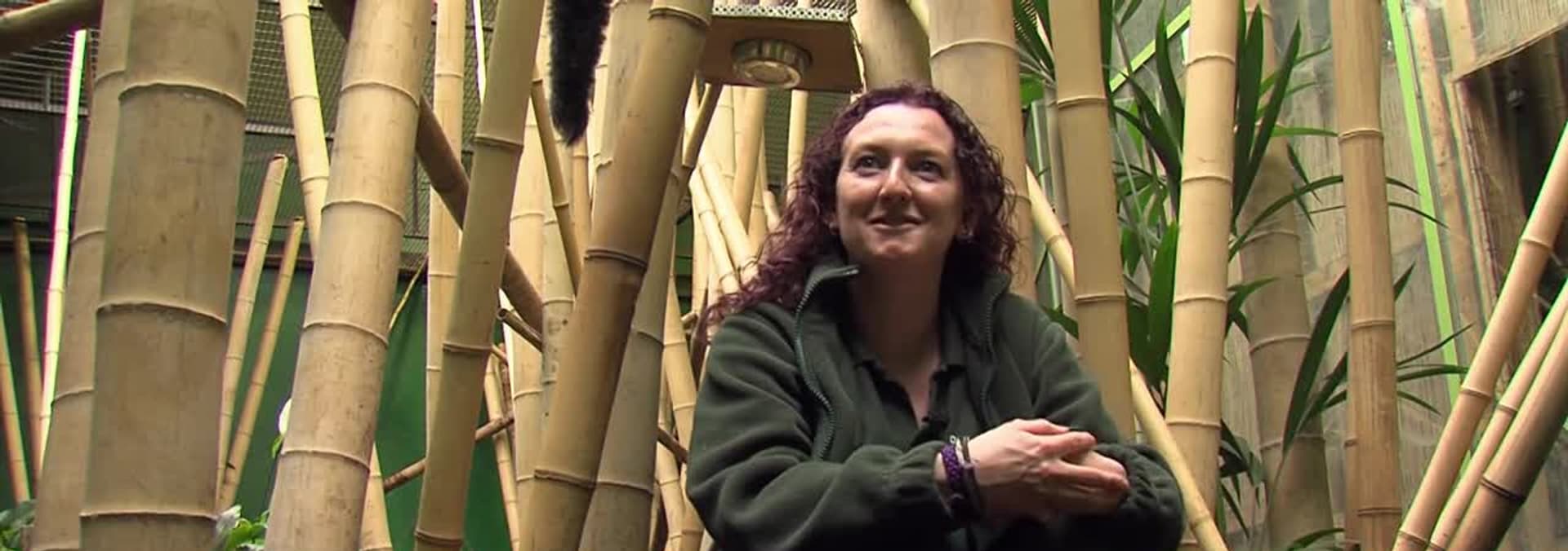 Watch The Zoo S05:E01 - Episode 1 - Free TV Shows | Tubi