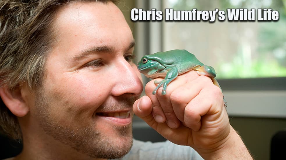 Watch Chris Humfrey's Wild Life Stream en línea | Tubi TV Gratis