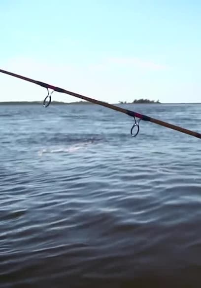 Watch How to Do Florida S08:E01 - How to Do No-Hassle Camping in Cedar ...