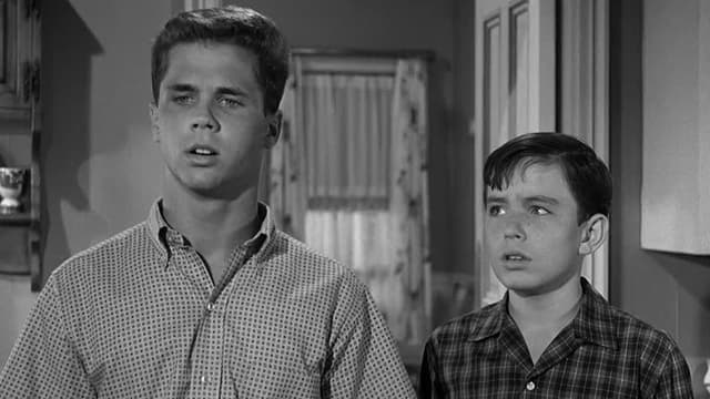 Watch Leave It to Beaver S05:E07 - Beaver Takes a Drive - Free TV Shows ...